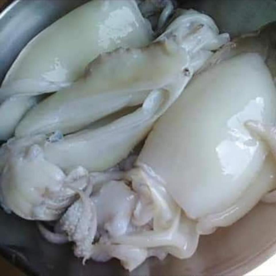 Octopus – ghanajom